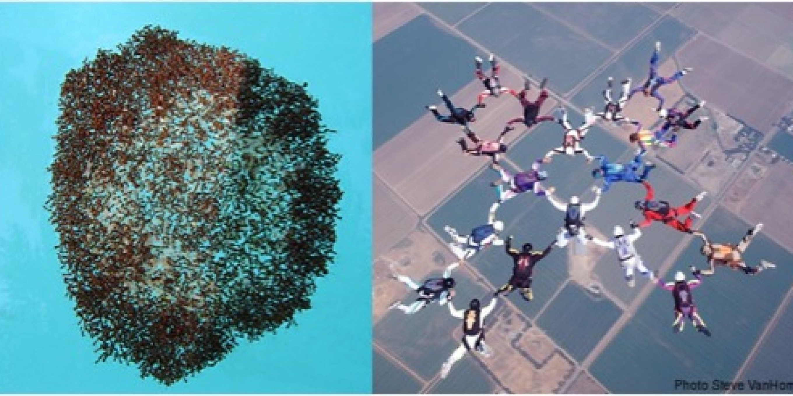 Biophobia and the Reluctant Sociologist - The Society Pages