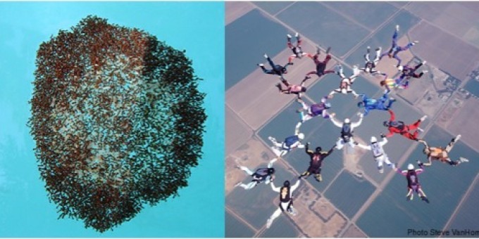 Biophobia and the Reluctant Sociologist - The Society Pages