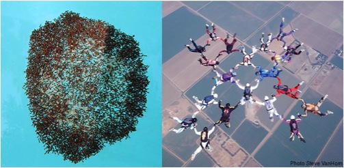 Biophobia and the Reluctant Sociologist - The Society Pages