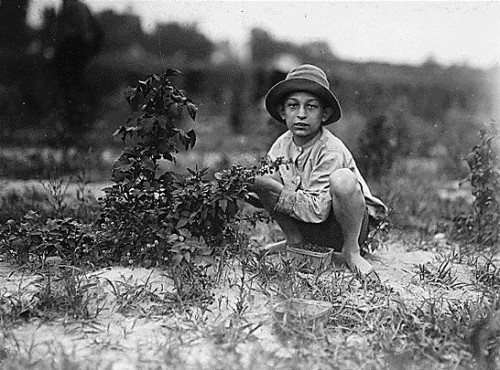 Child Labor in America 1908-1912 - Sociological Images
