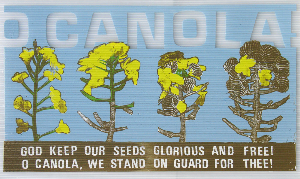 Animal Farm: Representing the Industrial Food System - Sociological Images