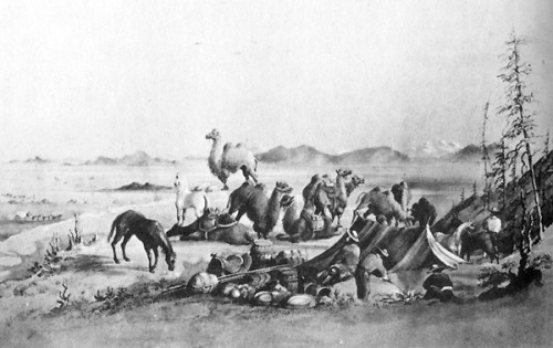 The Military Camels of the North American West - Sociological Images