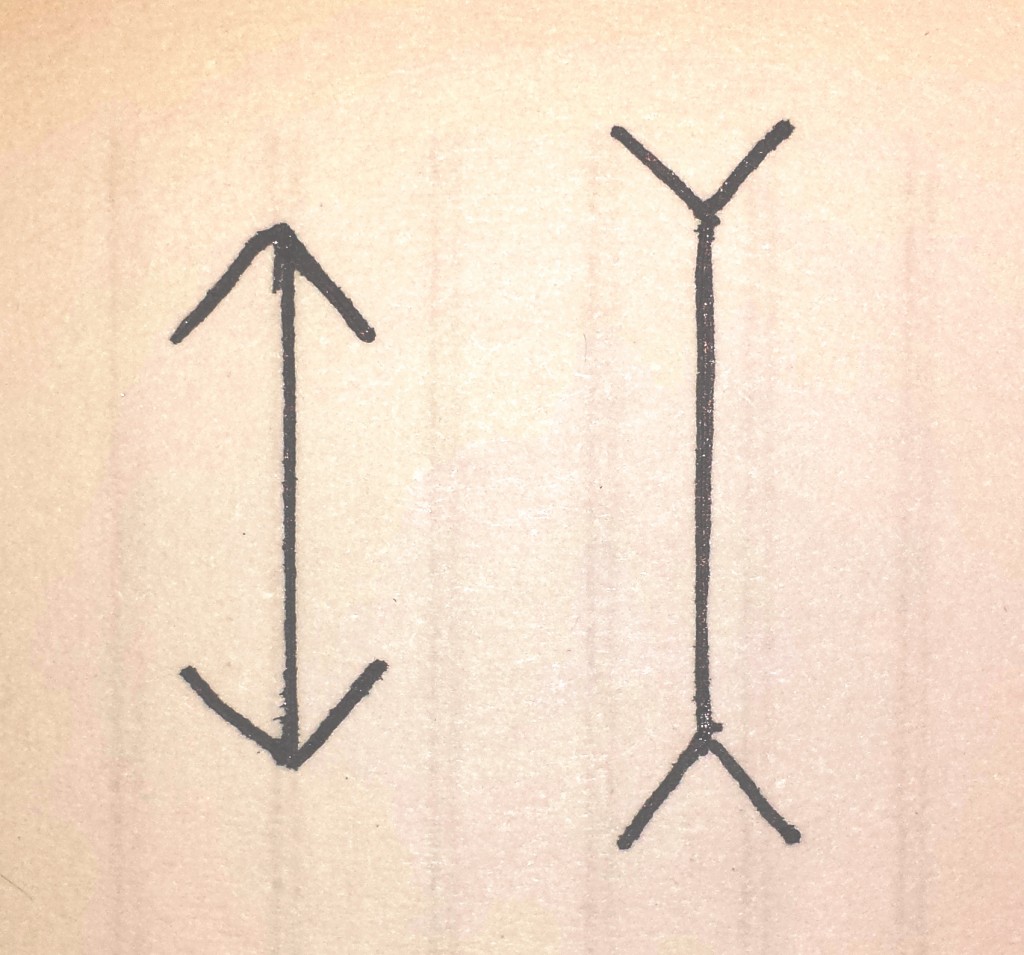 The Anthropology of Optical Illusions - Sociological Images