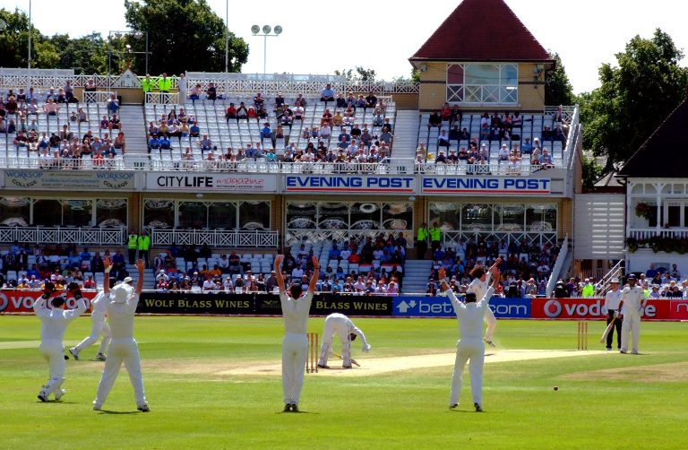 Wickets and Sixes: A Social Science of Cricket - There's Research on That